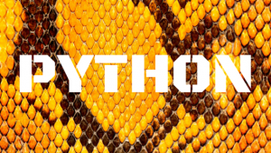 PYTHON – The Bottom Line