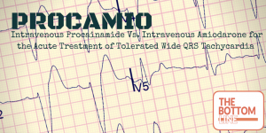 PROCAMIO – The Bottom Line