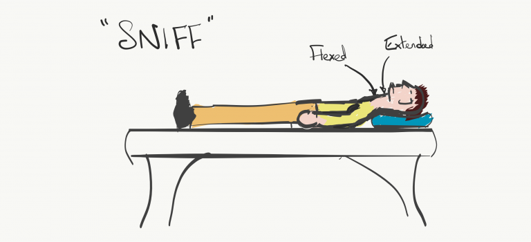 CHECK-UP Position – The Bottom Line