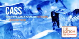 CASS – The Bottom Line