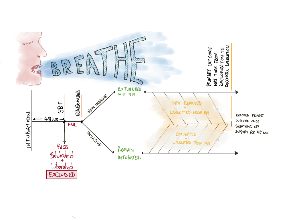 BREATHE – The Bottom Line