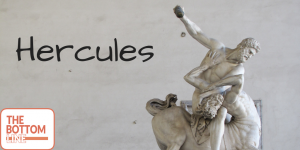 HERCULES – The Bottom Line