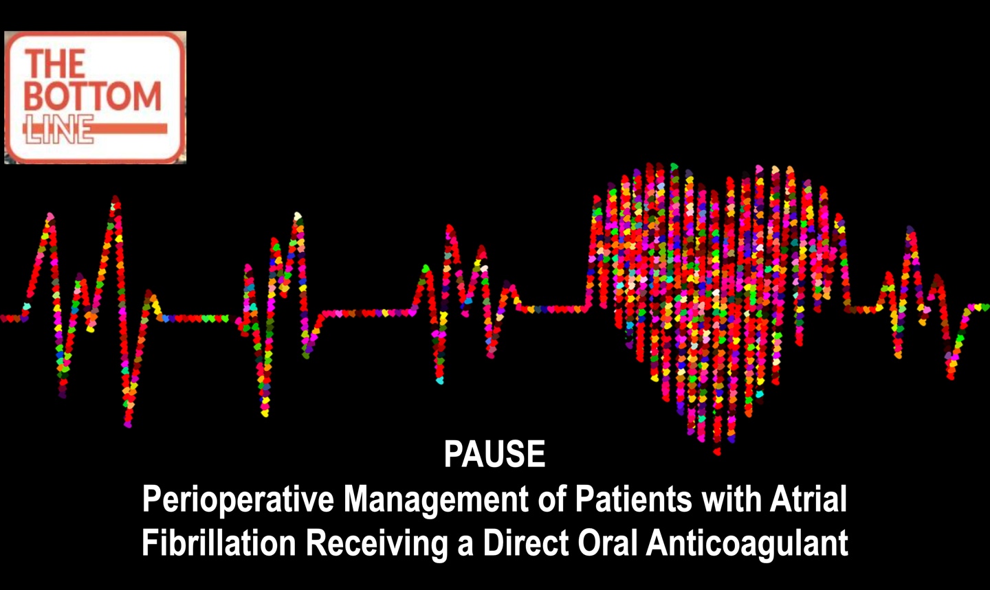 PAUSE – The Bottom Line