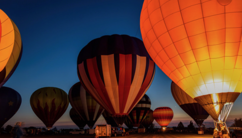 PROSEVA – The Bottom Line