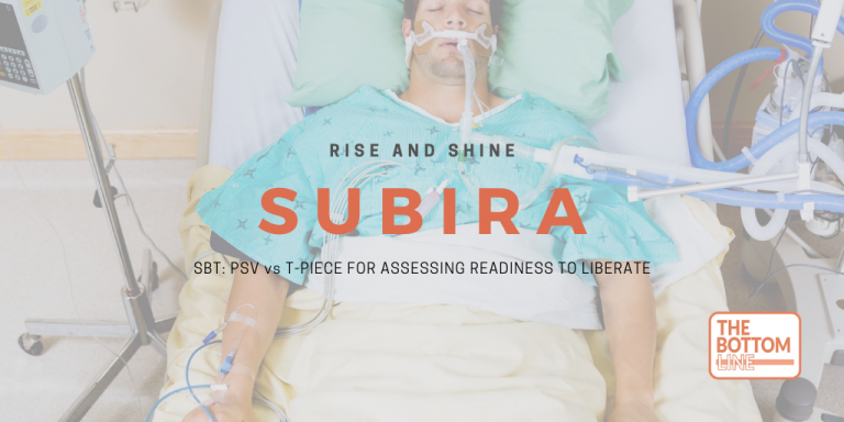 Subira – The Bottom Line